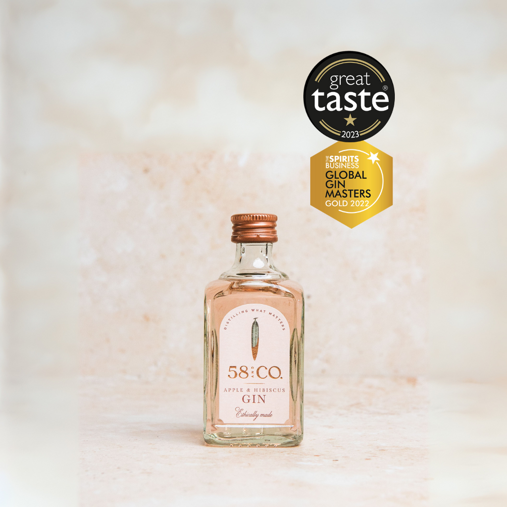 58 and CO Apple & Hibiscus Pink Gin Mini | Gin Miniature Bottle 5cl